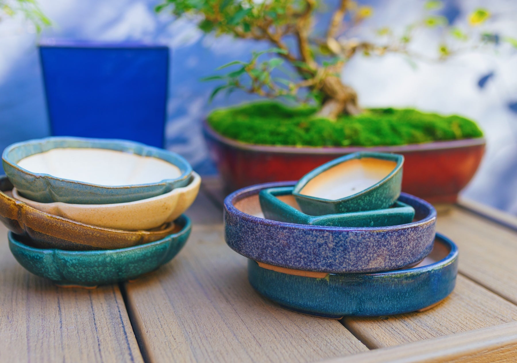 Pots & Supplies – Appalachian Plantworks